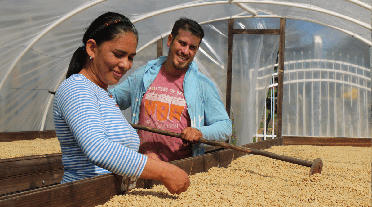 New Release | Evin Moreno, Honduras – Seven Seeds