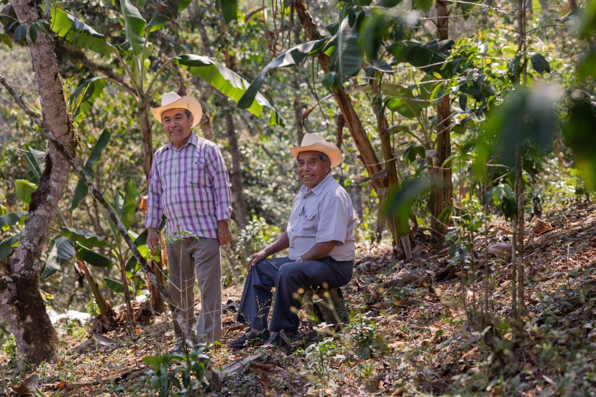 New Micro-Release | Clemente Hernandez, Mexico – Seven Seeds