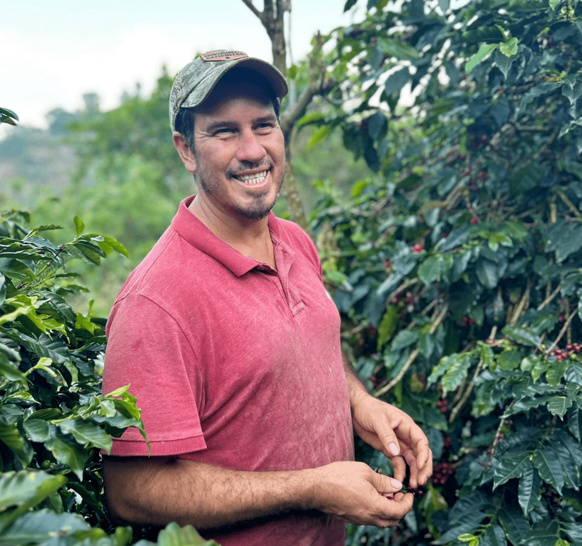 New Release | Evin Moreno, Geisha, Honduras – Seven Seeds