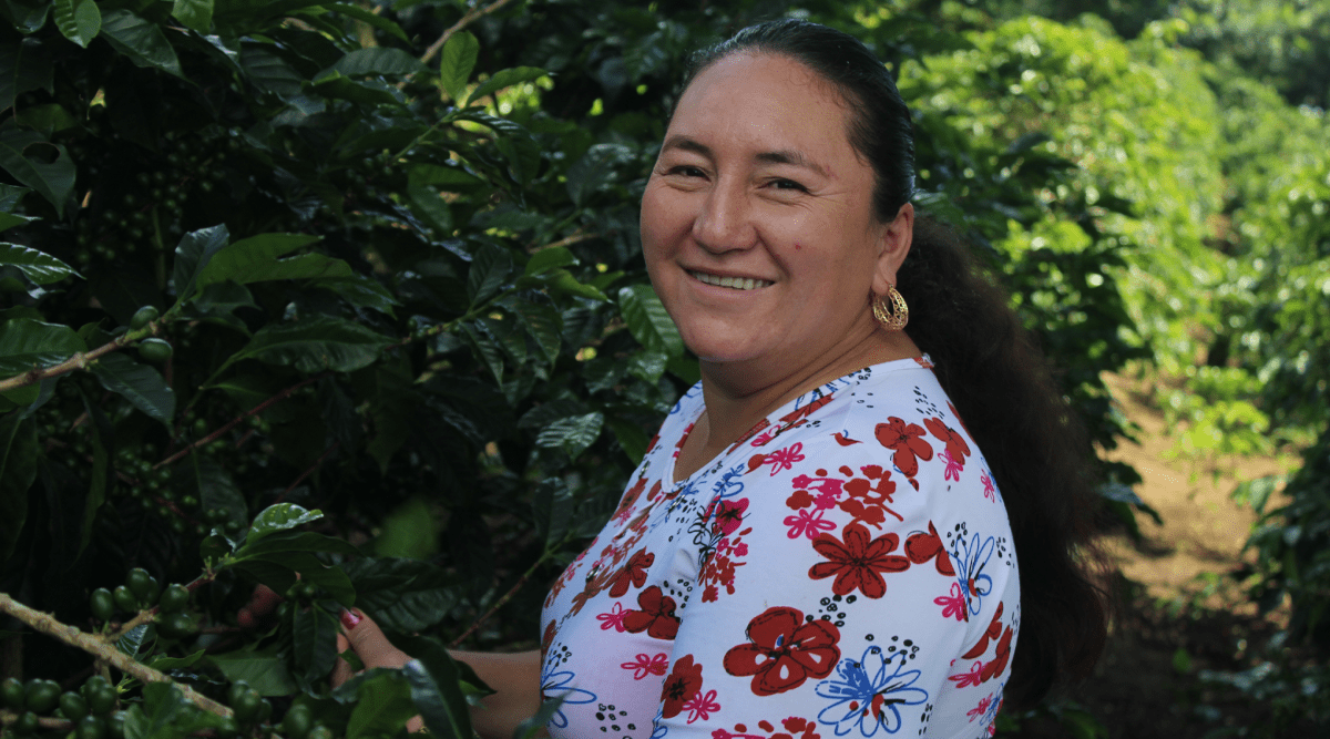 New Release | Maria Reyes, Honduras – Seven Seeds