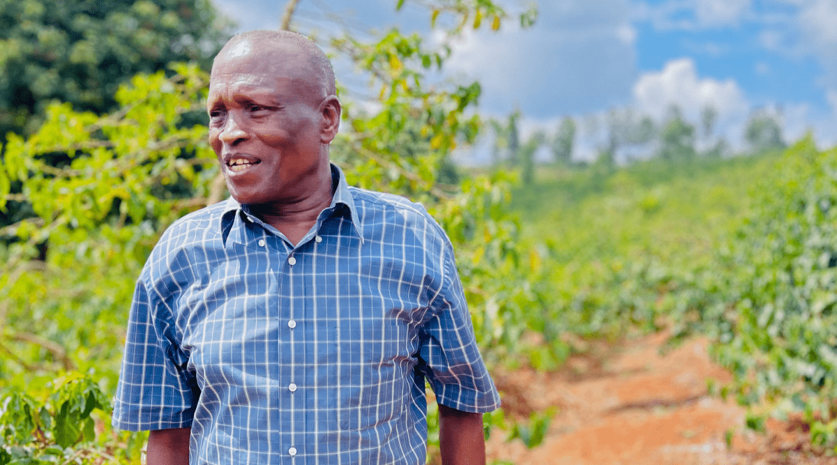 New Release | Mukunga Estate, Kenya – Seven Seeds