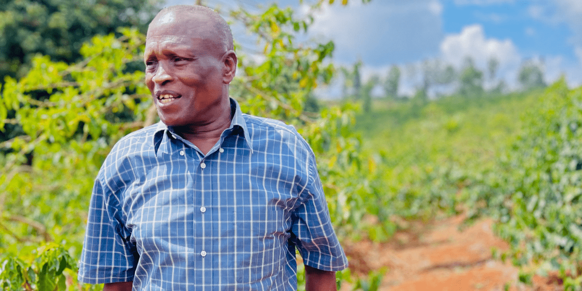 New Release | Mukunga Estate, Kenya — Seven Seeds