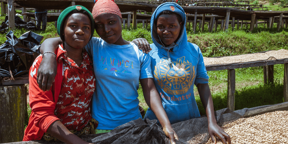 New Release | Musasa, Rwanda — Seven Seeds