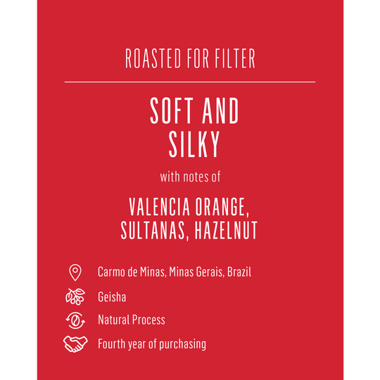 Santuario Sul Geisha, Brazil – Seven Seeds